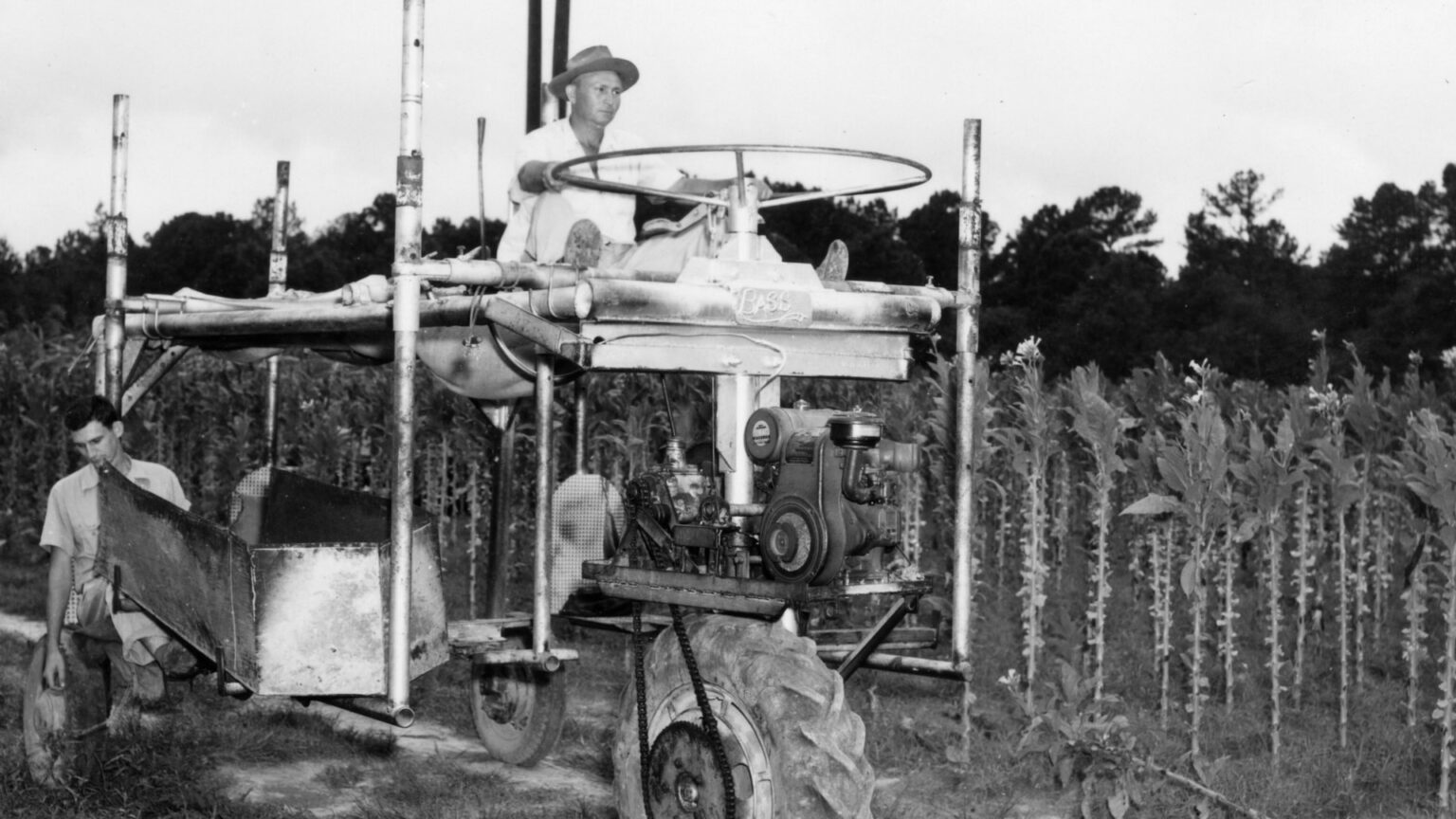 Nc State Extension Celebrates More Than A Century Of Service 